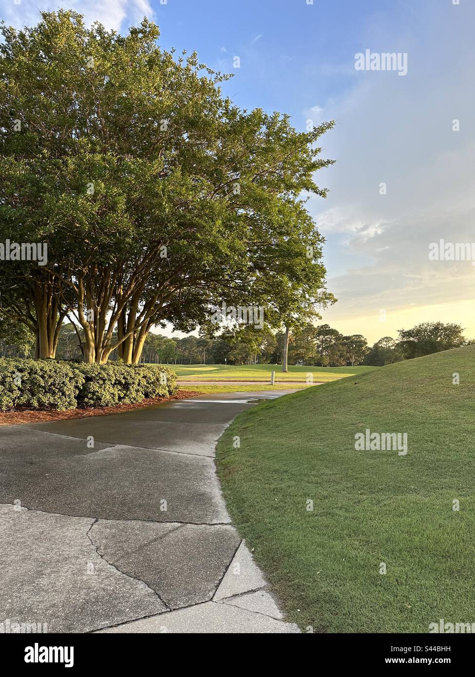 Golf course pathway with spring landscape Stock Photo - Alamy