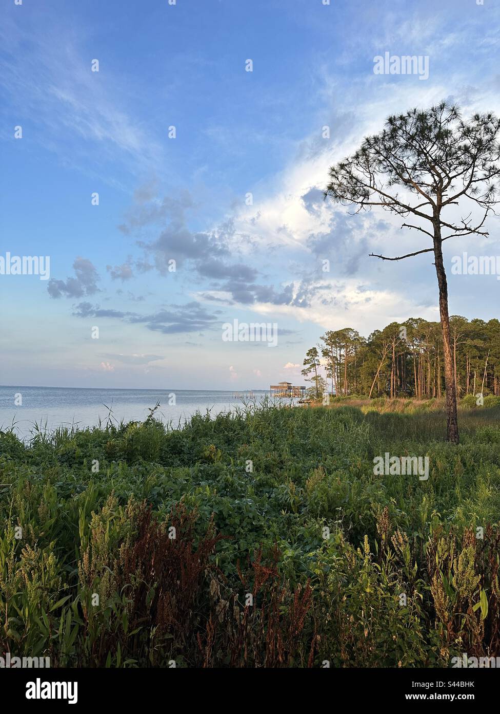 Sunset over nature hi-res stock photography and images - Alamy