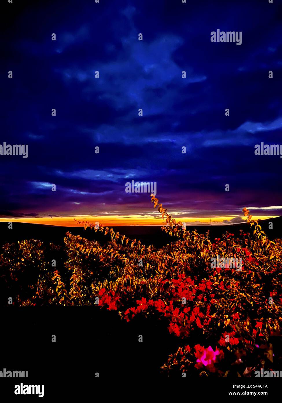 Rare colors paint the sky during the sunset-twilight transition ...