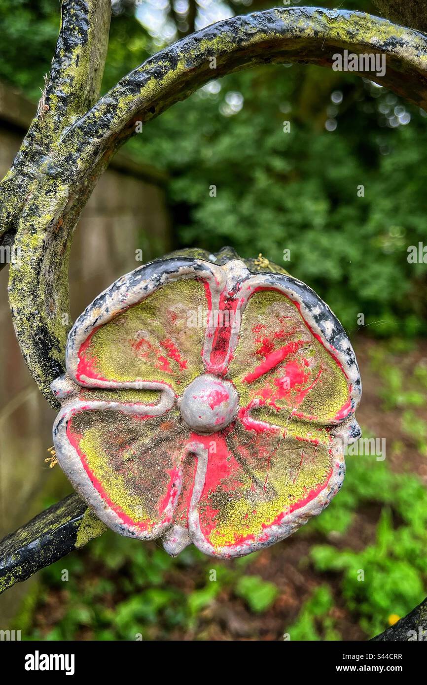 Rising red rose detail on gate at Witton Park in Blackburn, Kancashire ...