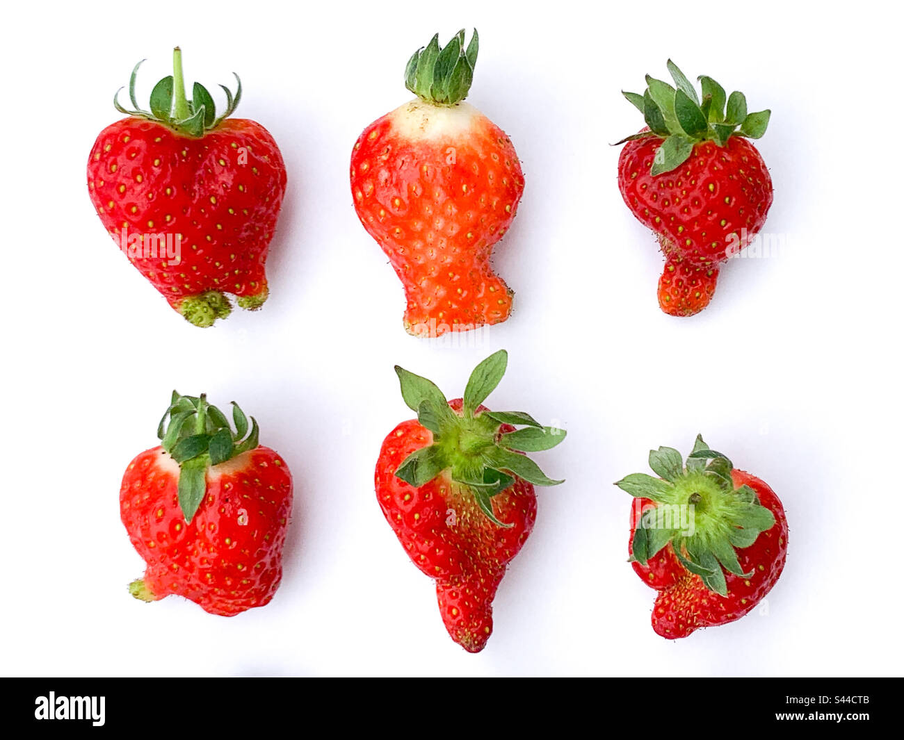 Wonky hi-res stock photography and images - Alamy