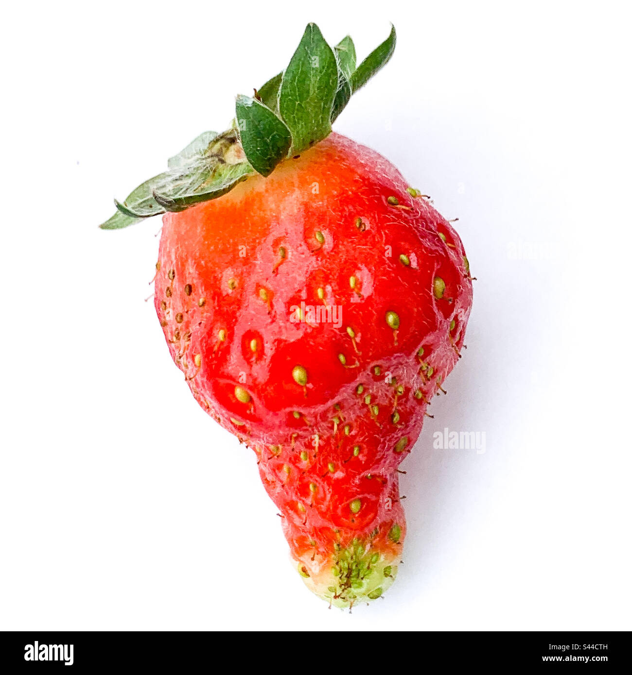 Wonky fruit and vegetables hi-res stock photography and images - Alamy
