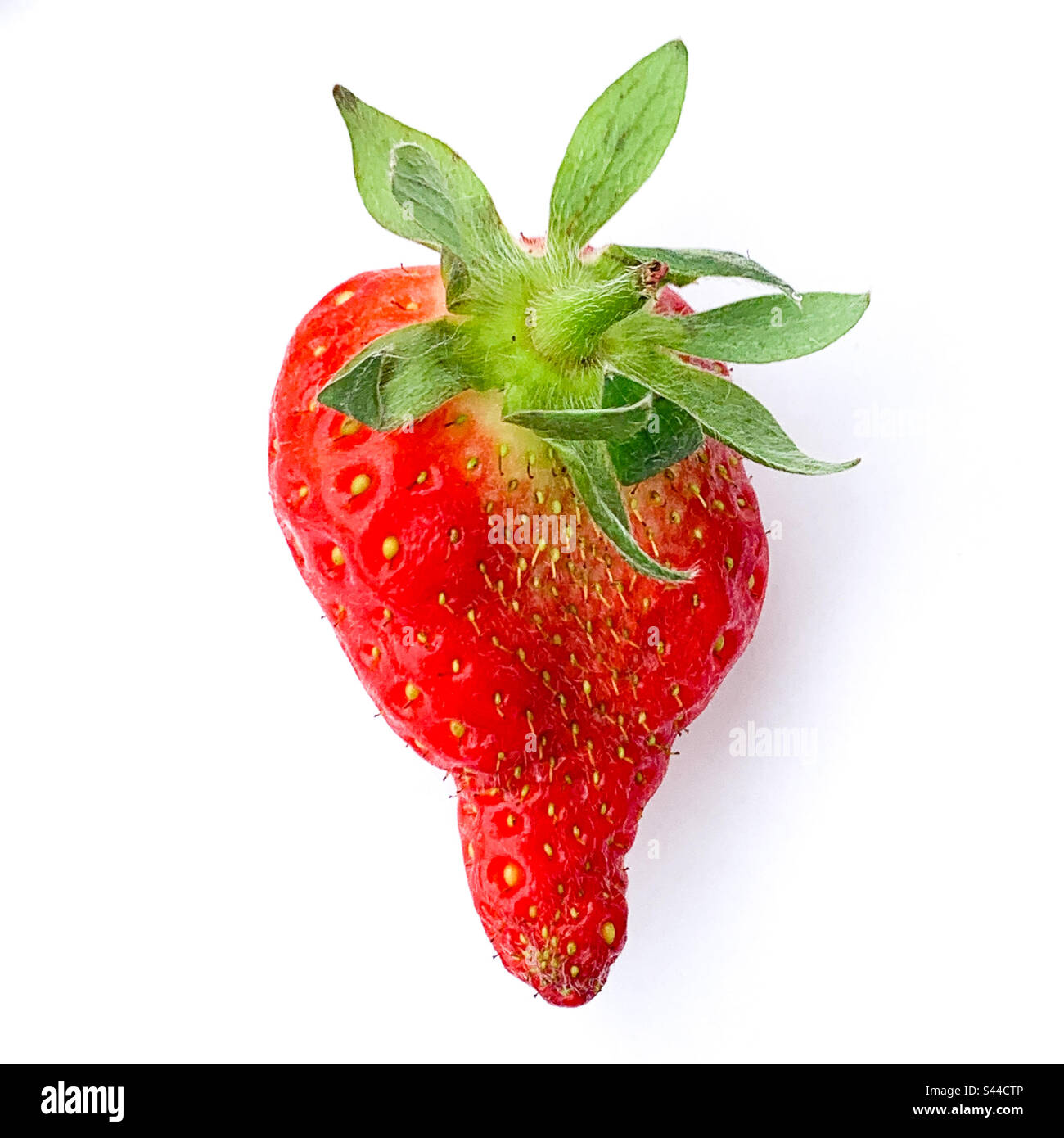 Wonky Strawberry On A White Background - Organic fruit Stock Photo - Alamy