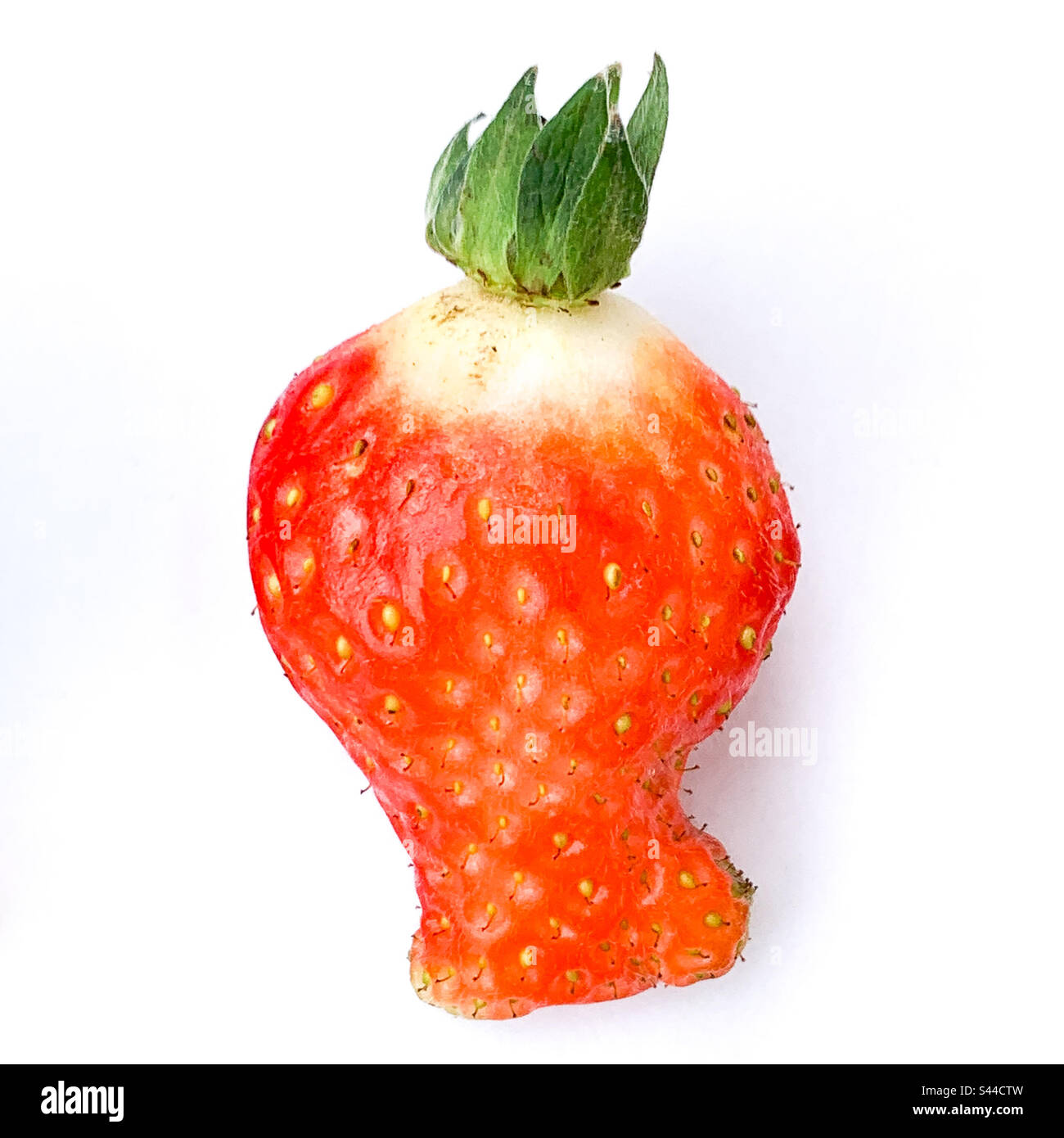 Wonky fruit and vegetables hi-res stock photography and images - Alamy