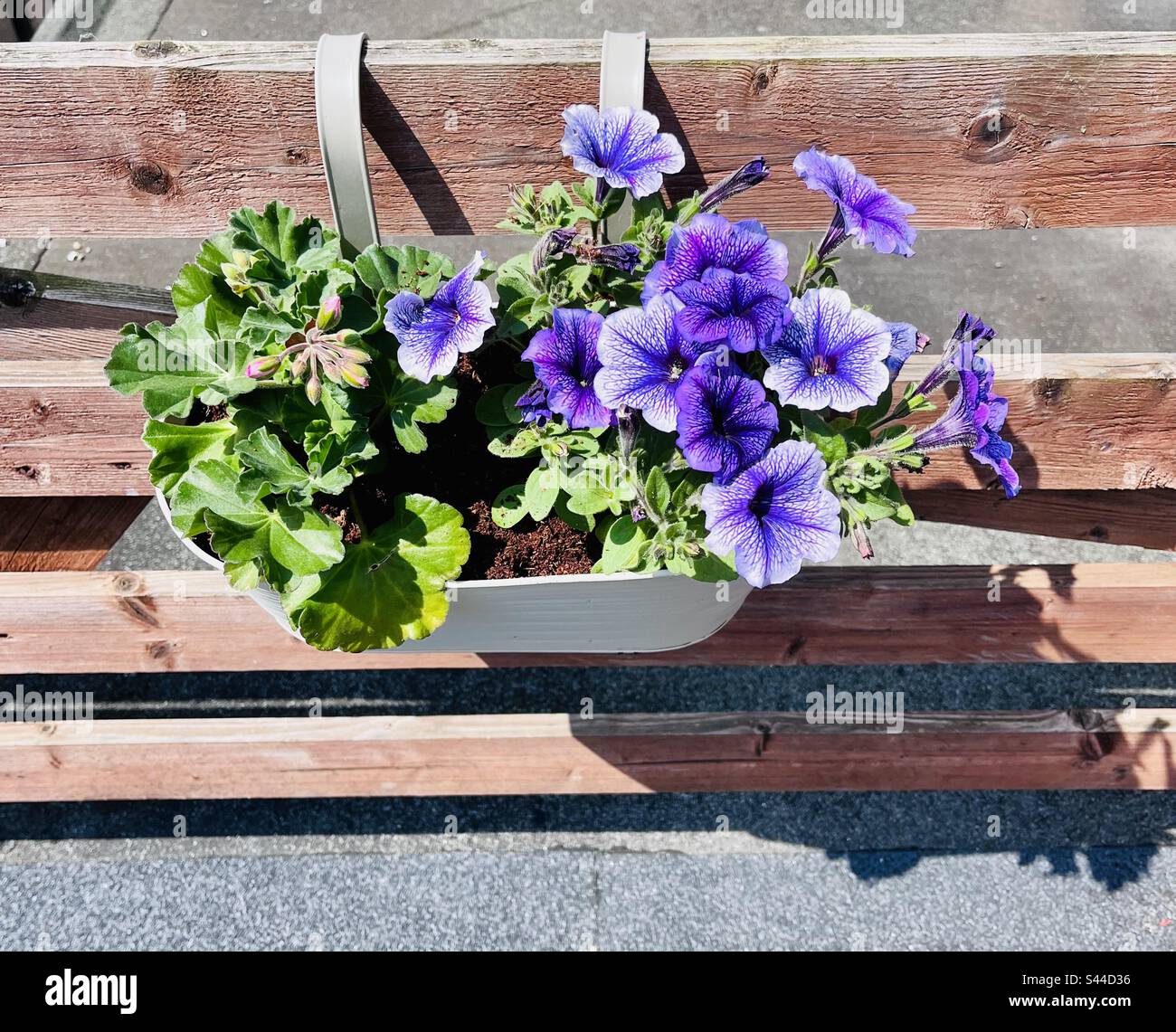 Wooden gate and fence hi-res stock photography and images - Alamy