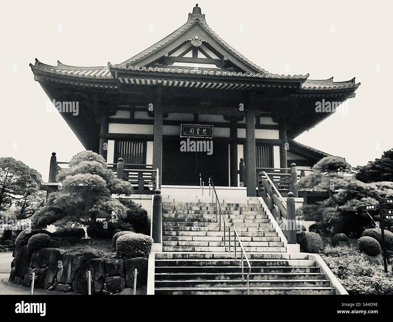 Zojo hi-res stock photography and images - Alamy