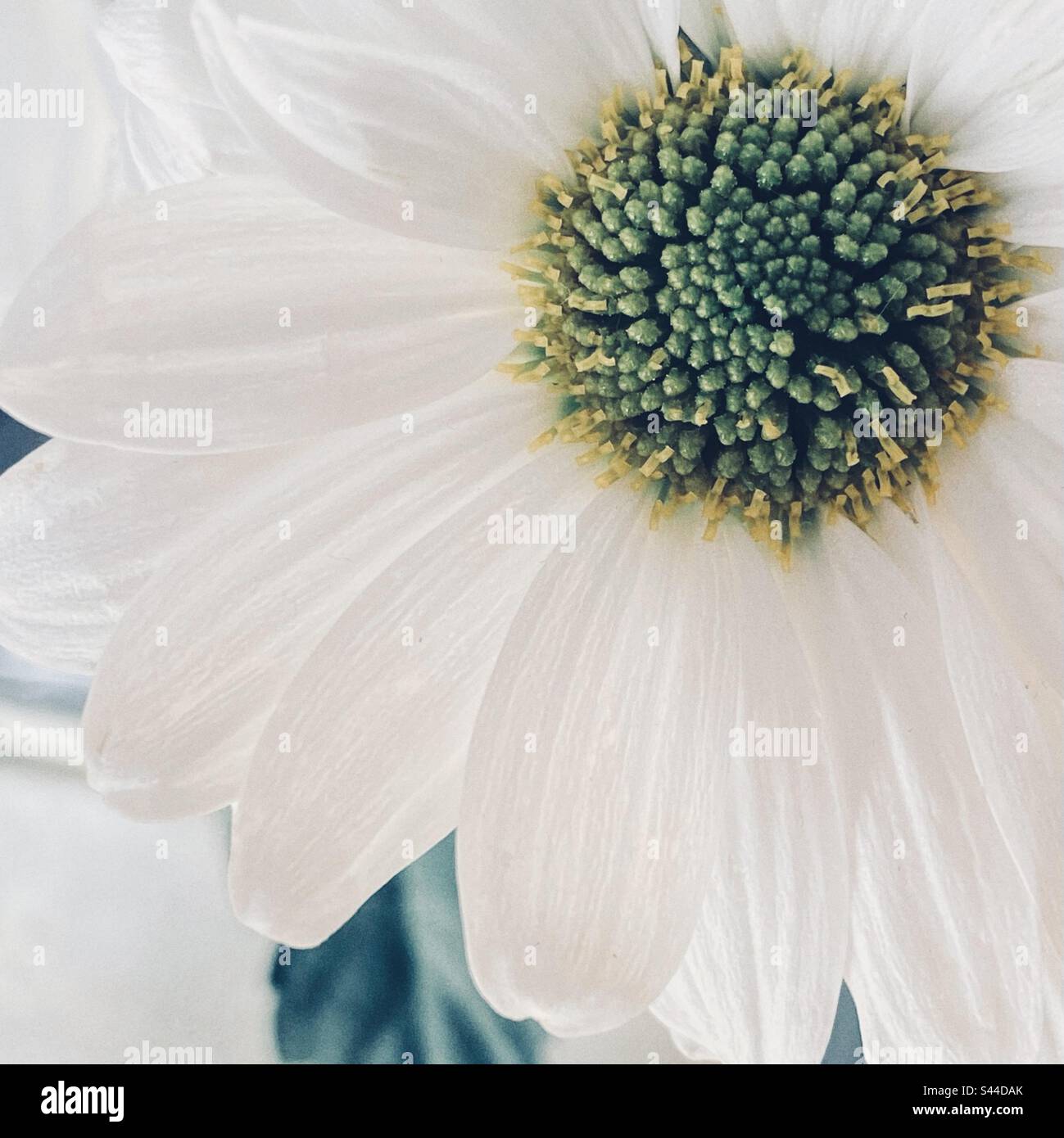 Peace of mind hi-res stock photography and images - Alamy