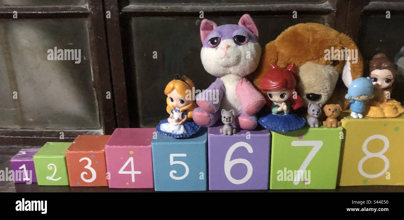 Alice, Ariel, Belle, Little Twin Star boy and pet friends in toy land ...