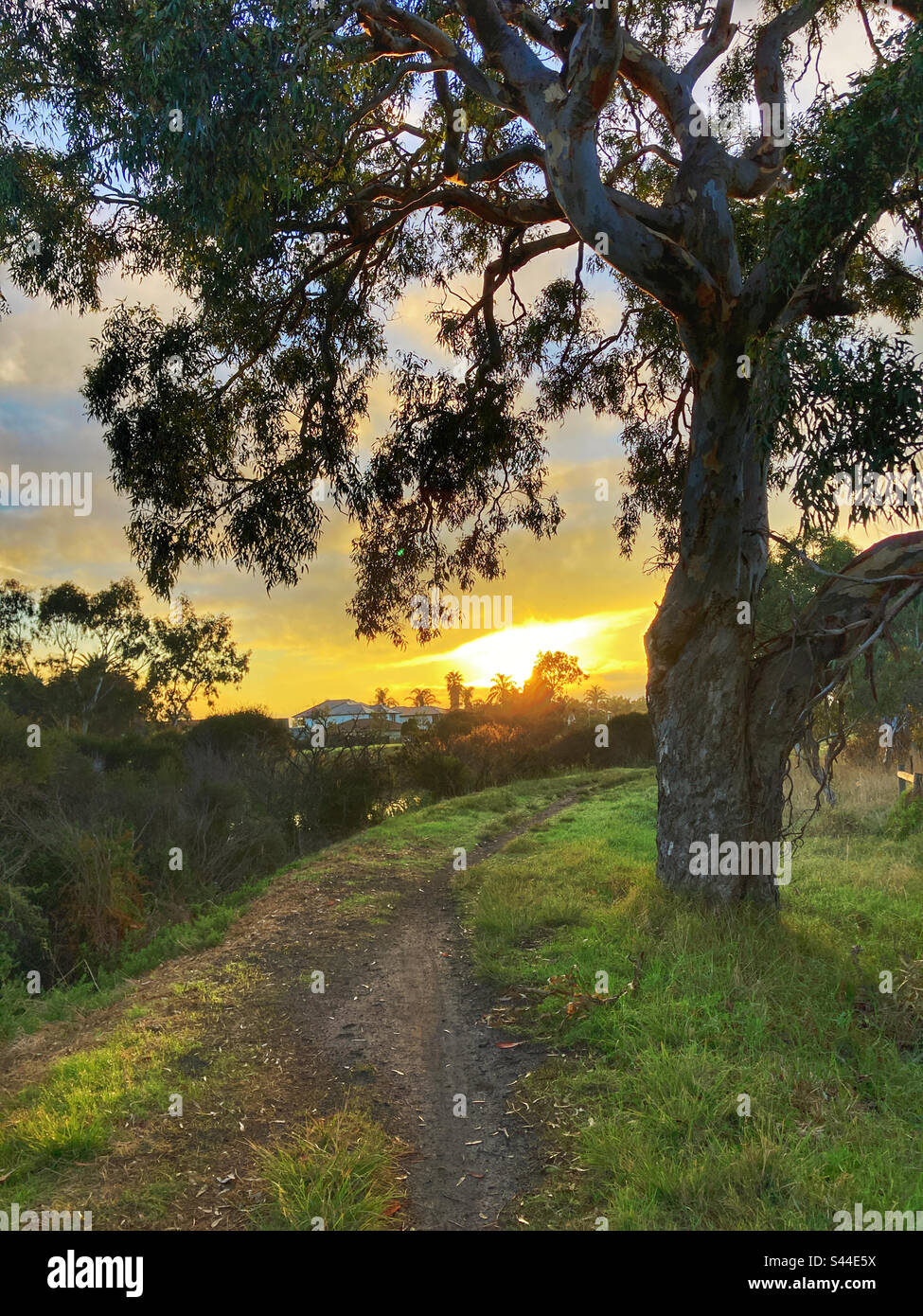 Footpath by Kananook Creek Victoria Australia Stock Photo - Alamy