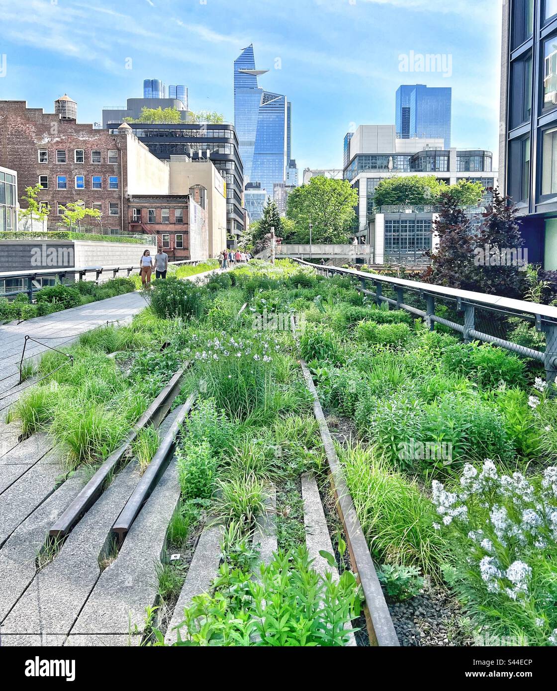 The Highline in New York with The Edge in Background Stock Photo - Alamy