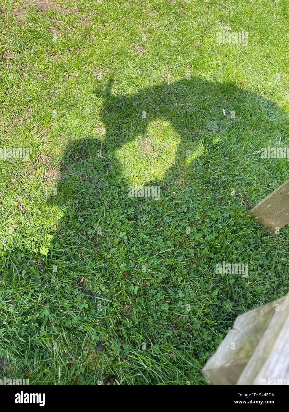 Playing with goat hi-res stock photography and images - Alamy