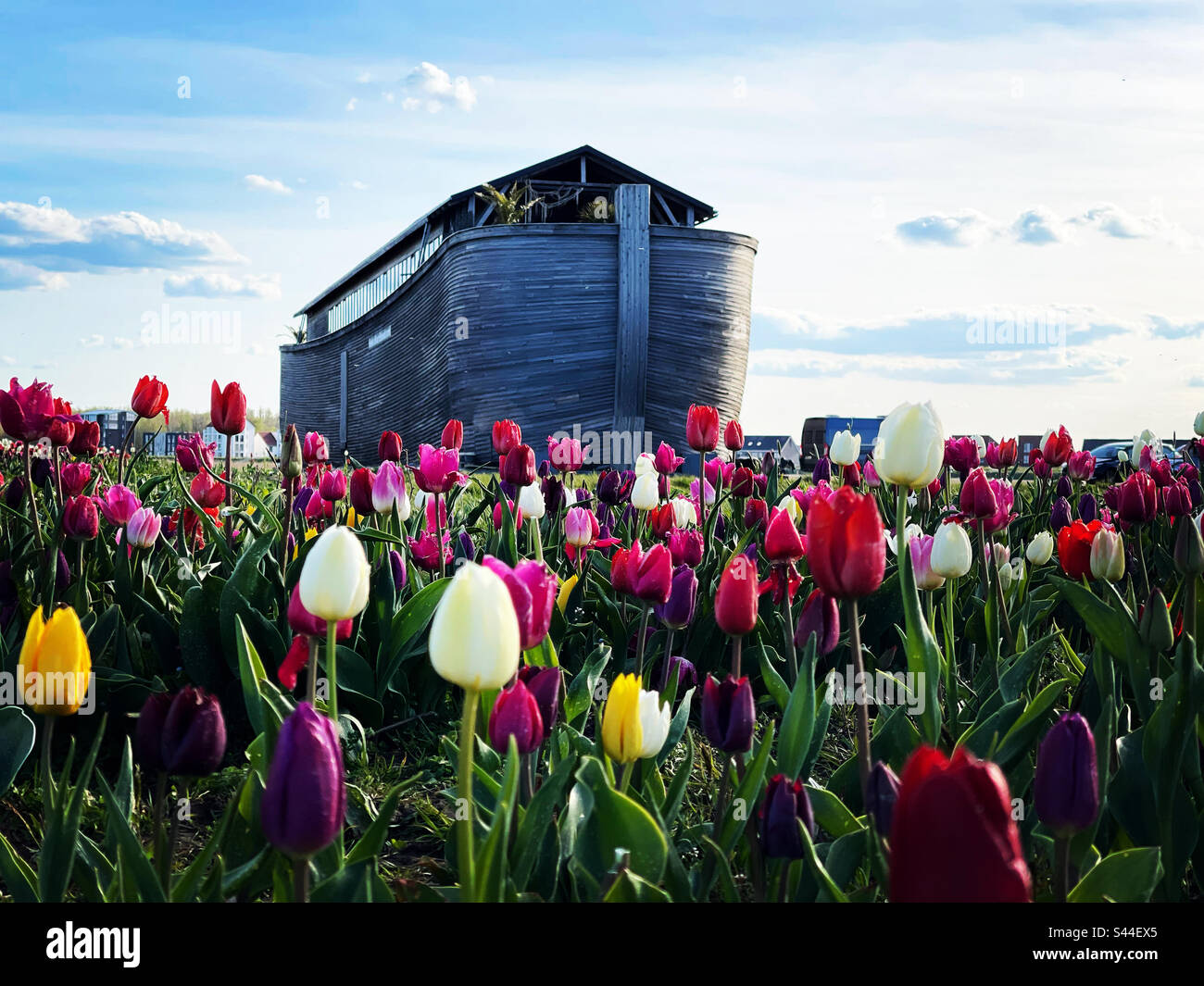 Zeewolde netherlands hi-res stock photography and images - Alamy