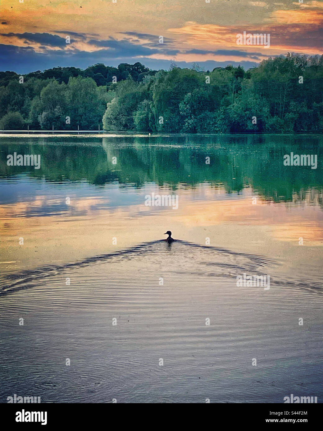 Whitlingham hi-res stock photography and images - Alamy