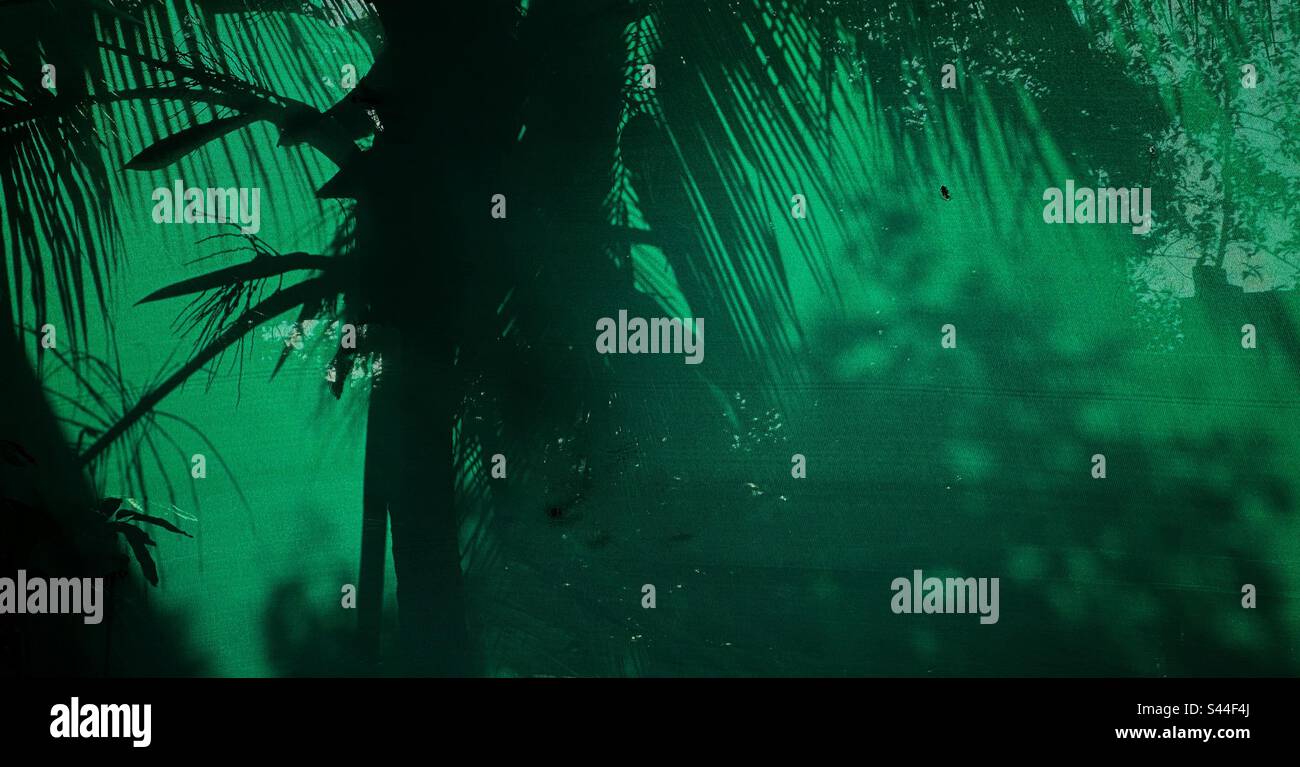 Screen shadows hi-res stock photography and images - Alamy