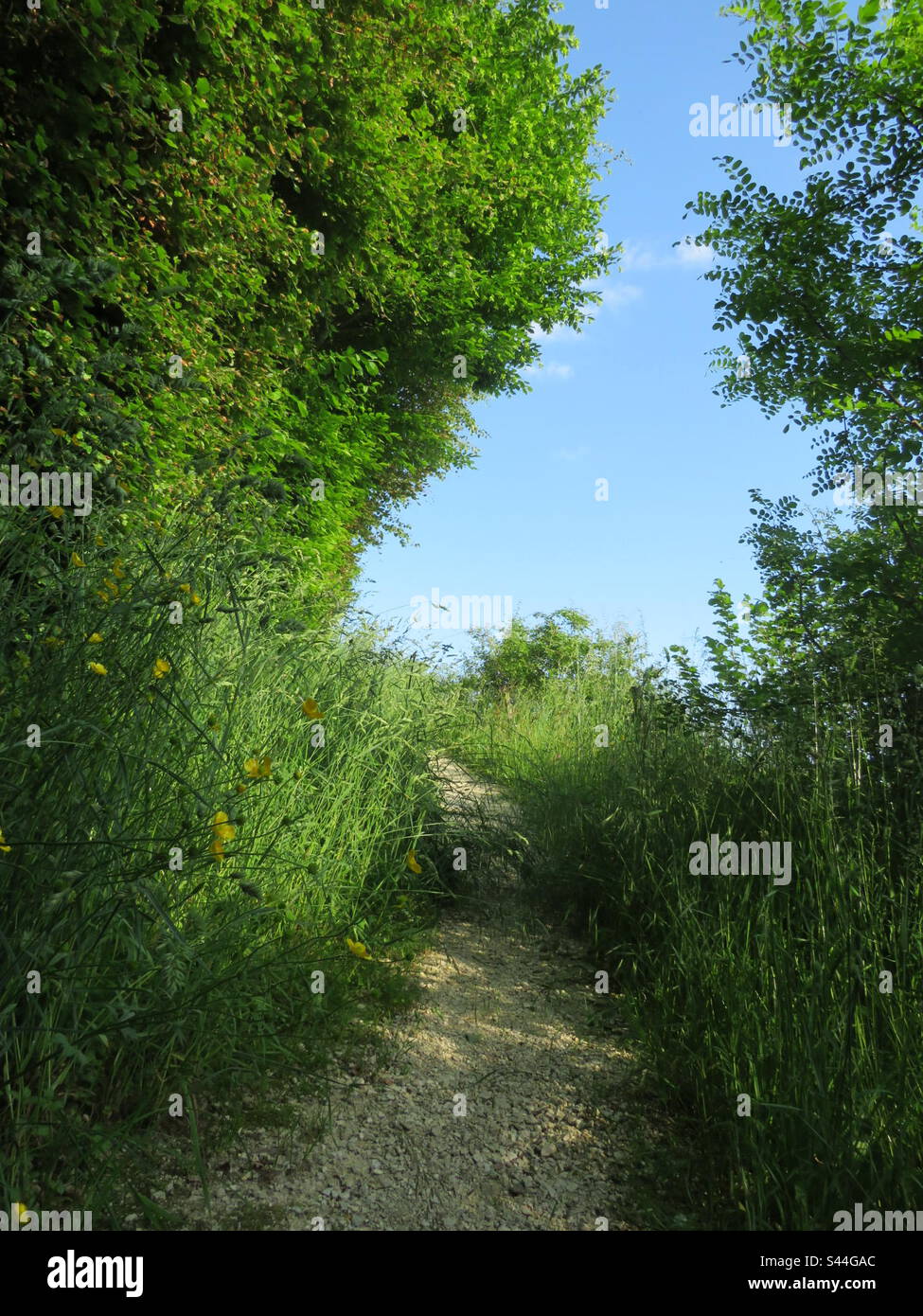 Nice trail hi-res stock photography and images - Alamy