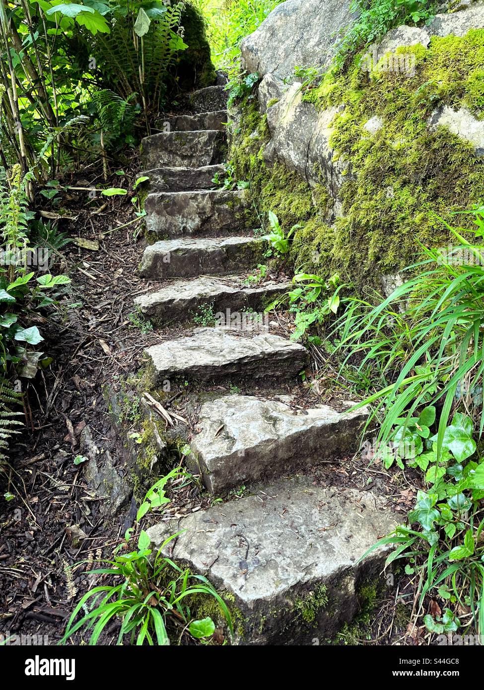 Old stone steps hi-res stock photography and images - Alamy