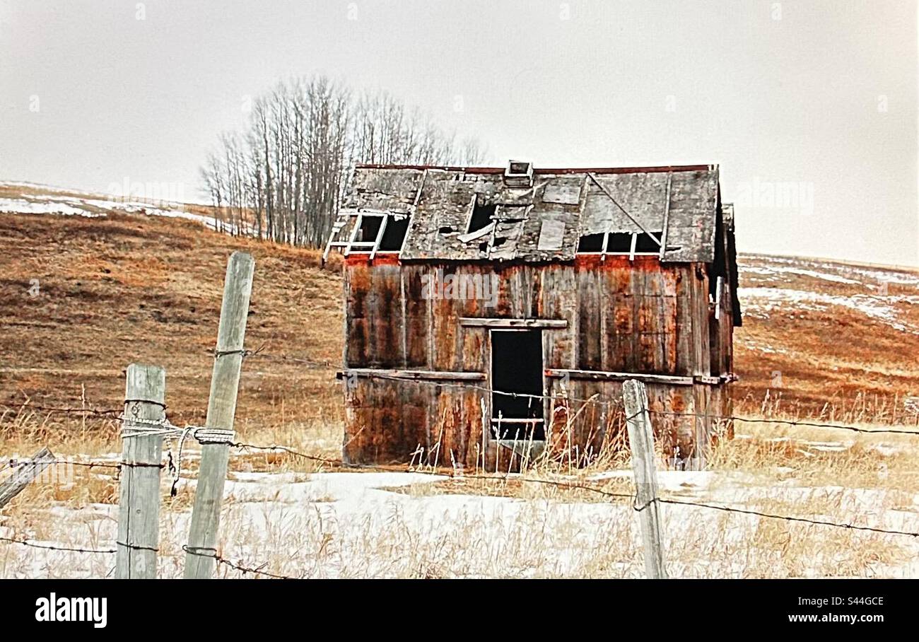 Old granary on the Alberta prairies. Weather beaten, worn, tired ...