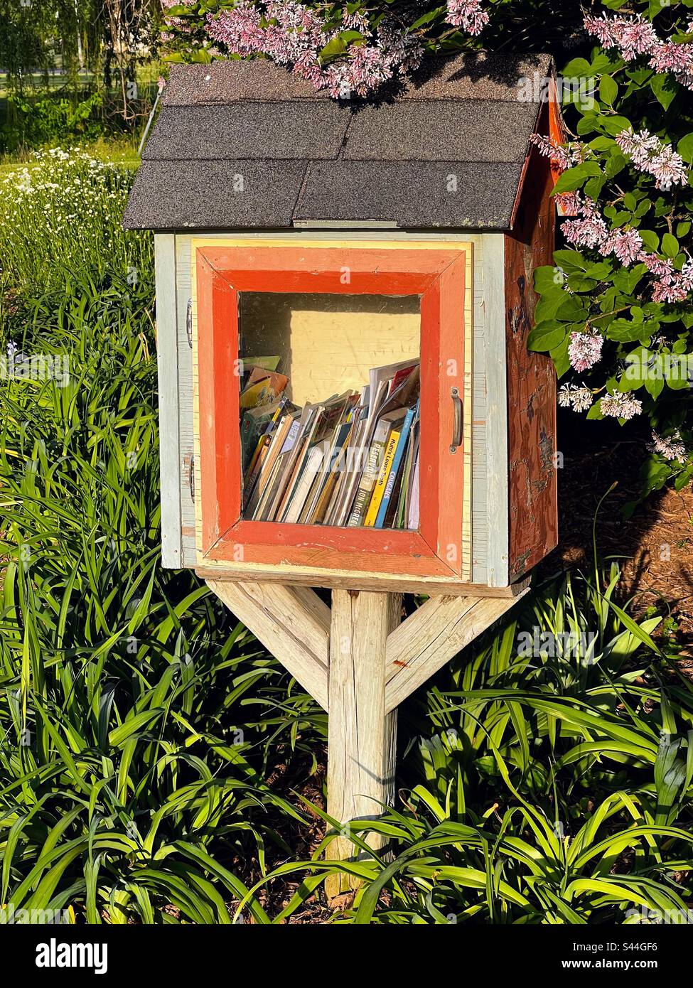 Little free library stand at park Stock Photo - Alamy