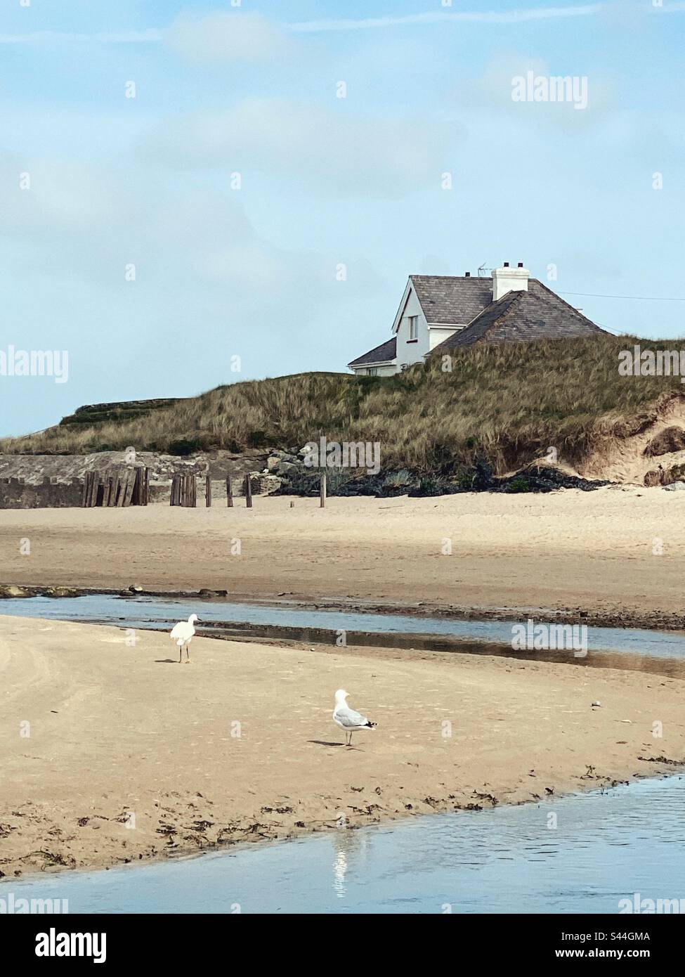 Morning on traeth Crigyll, rhosneigr beach, May 2023 Stock Photo - Alamy