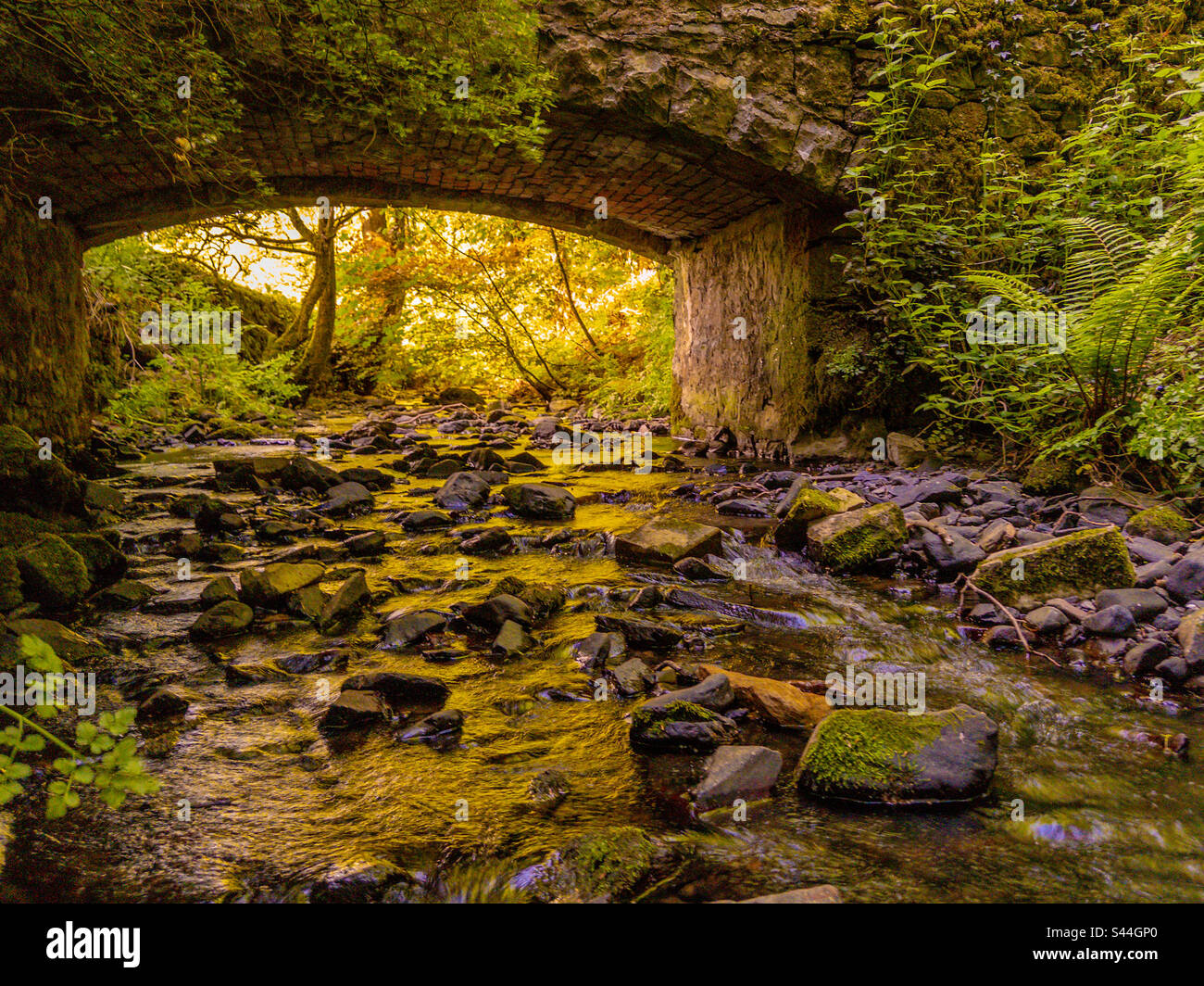 Bridge tranquil hi-res stock photography and images - Alamy