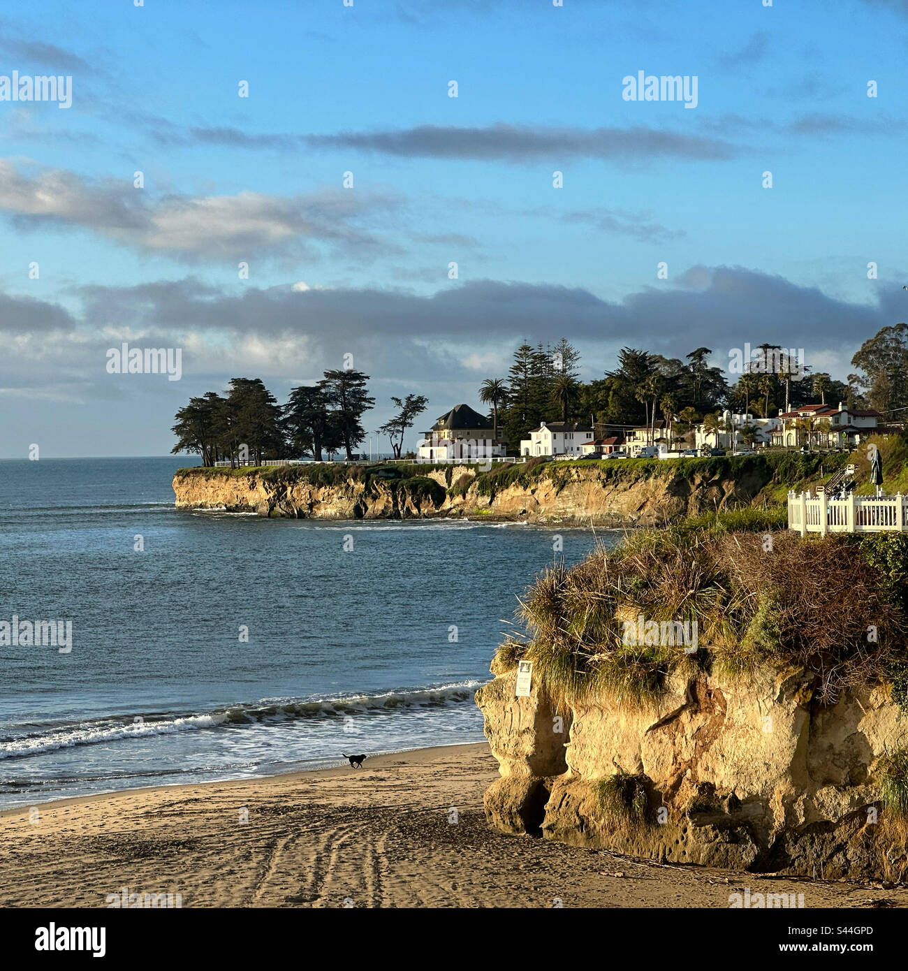 March, 2023, Morning, Cowell Beach, Santa Cruz, California, United ...