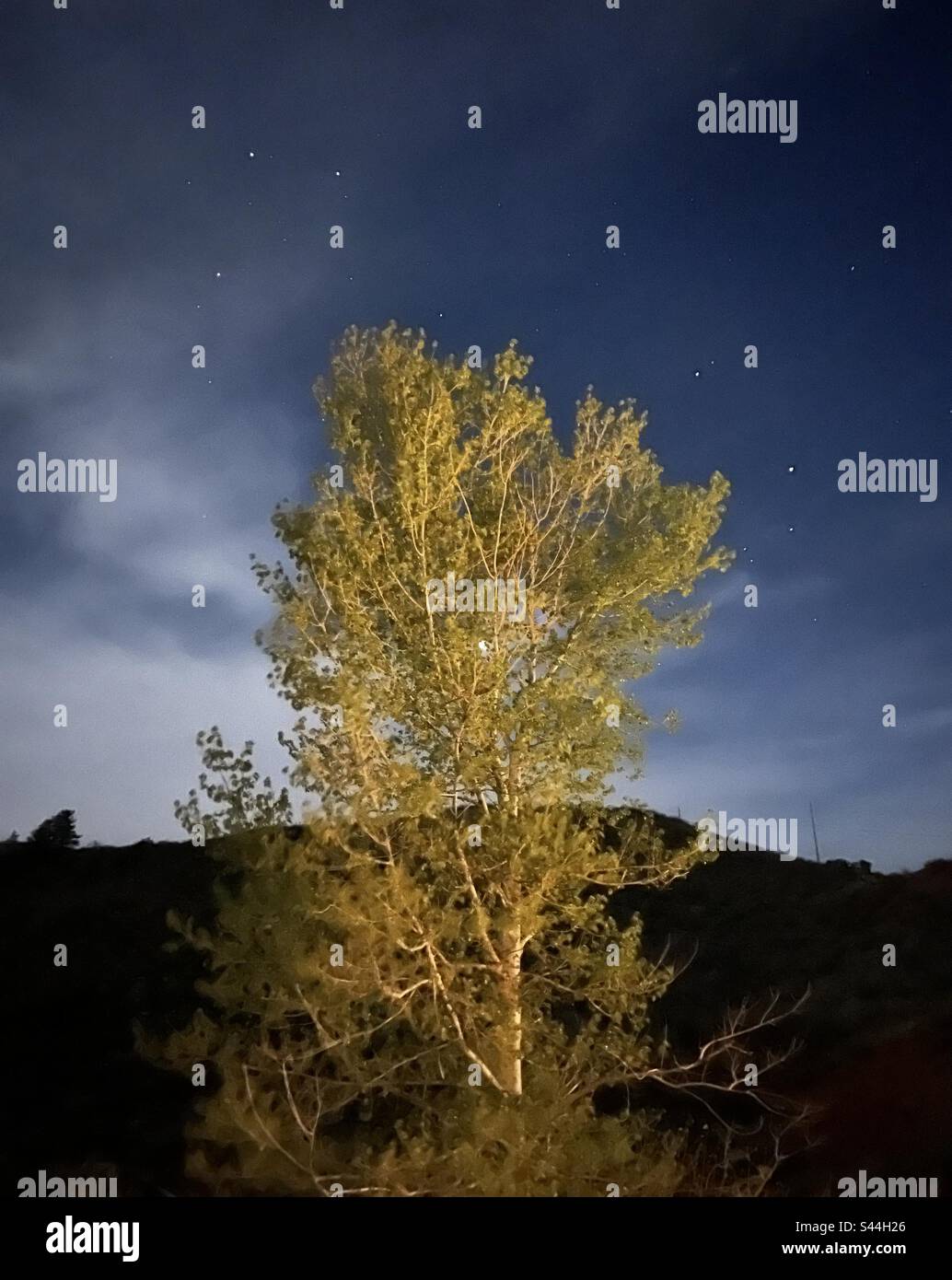 Starry nightsky hi-res stock photography and images - Alamy