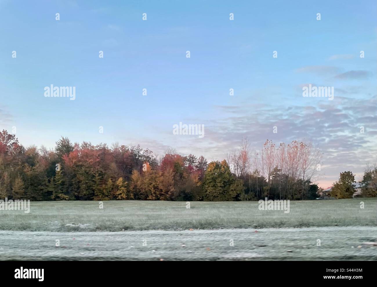 Seasons of change hi-res stock photography and images - Alamy