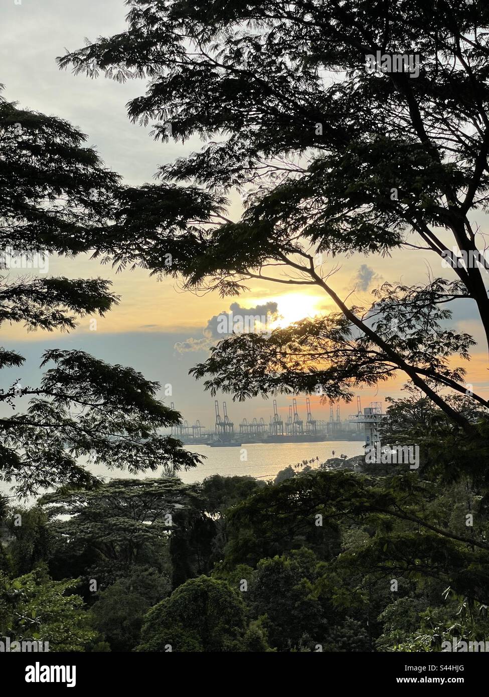 Singapore Tropical Sunset Scene at Sentosa with Pasir Panjang Port in ...