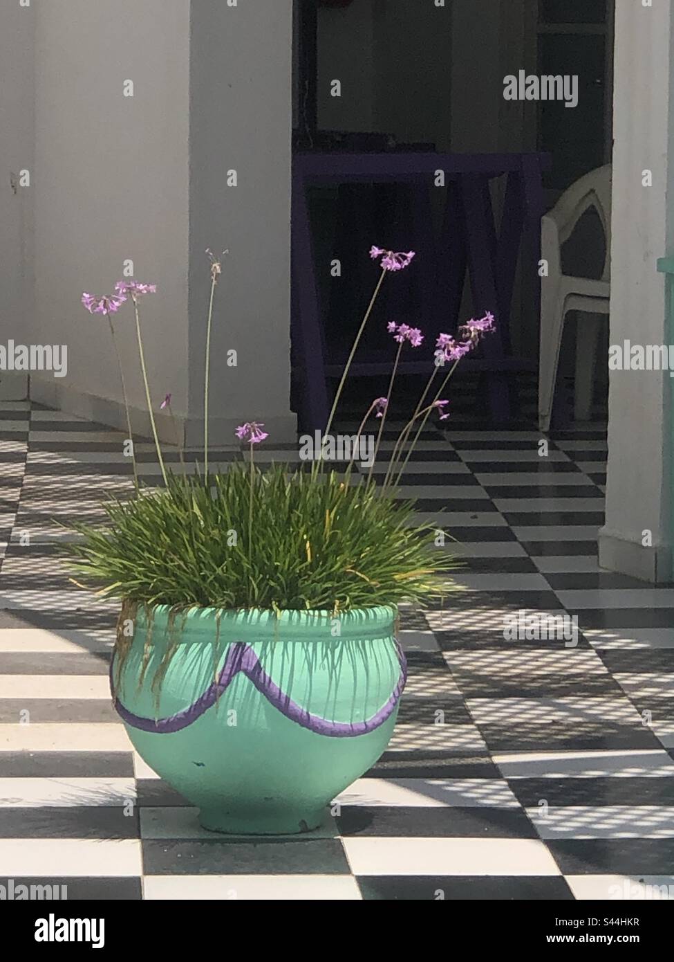 Morocco flowers hi-res stock photography and images - Alamy