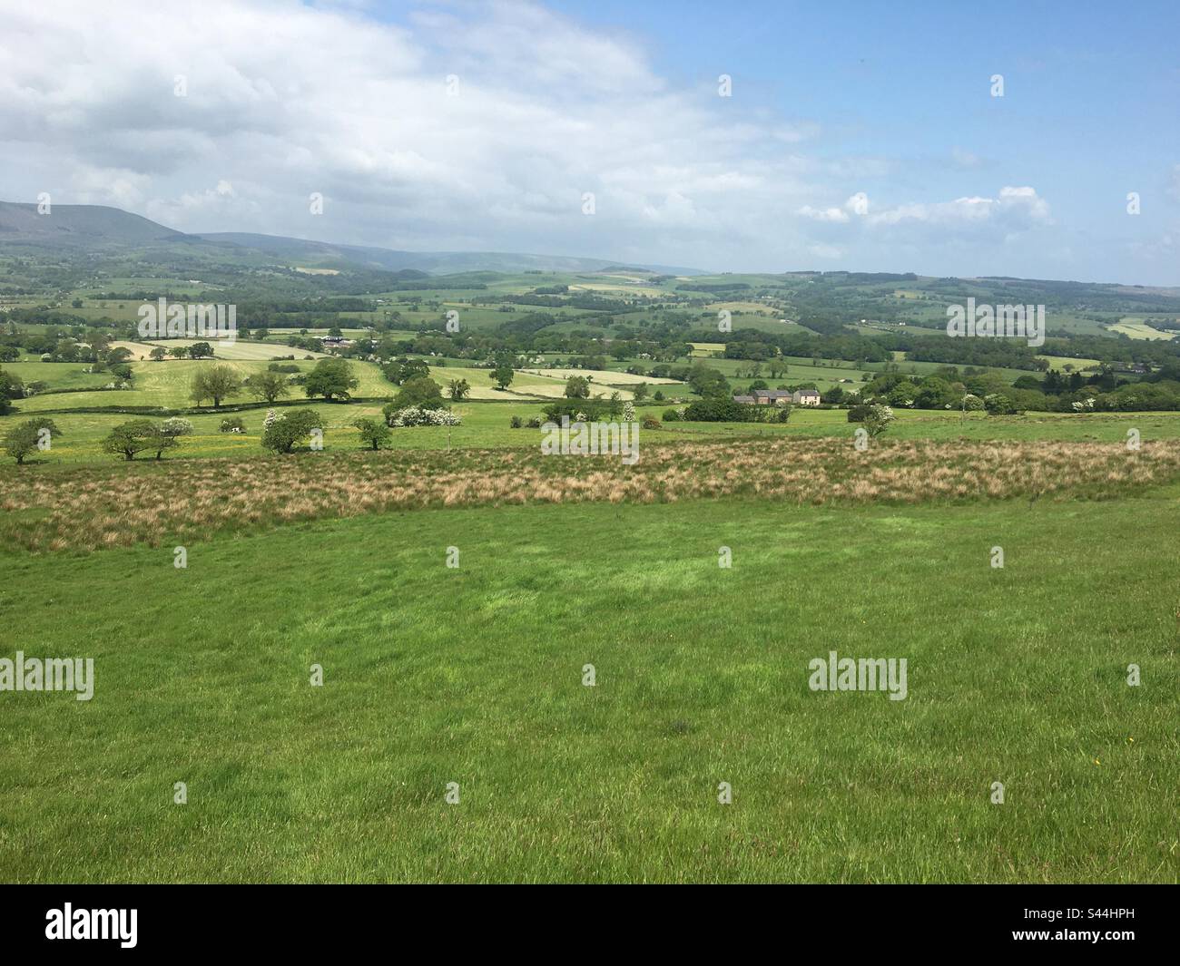 Beautiful Ribble Valley scenery Stock Photo - Alamy