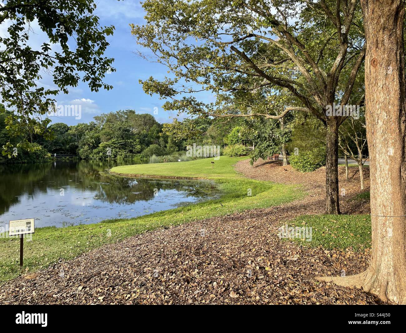 Botanic gardens eco hi-res stock photography and images - Alamy