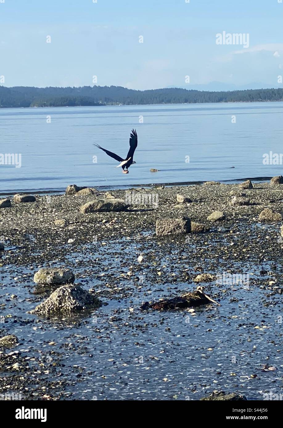 Catching the tide hi-res stock photography and images - Alamy