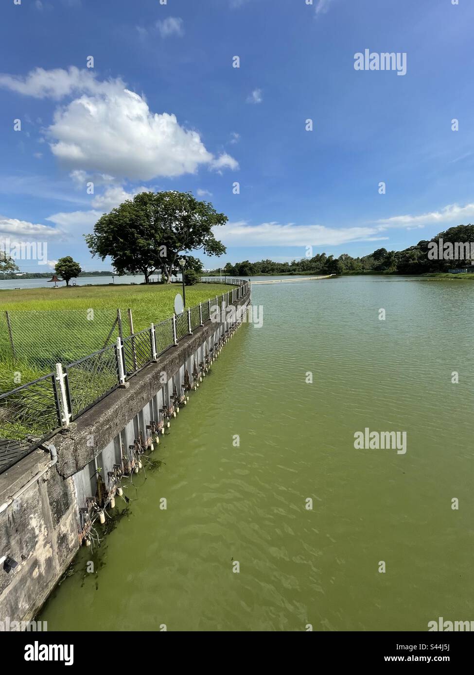 Kranji reservoir singapore hi-res stock photography and images - Alamy