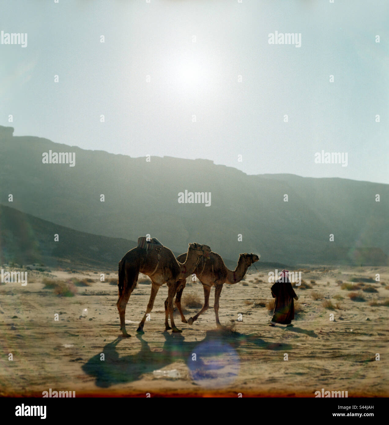 Life On the Edges Stock Photo - Alamy