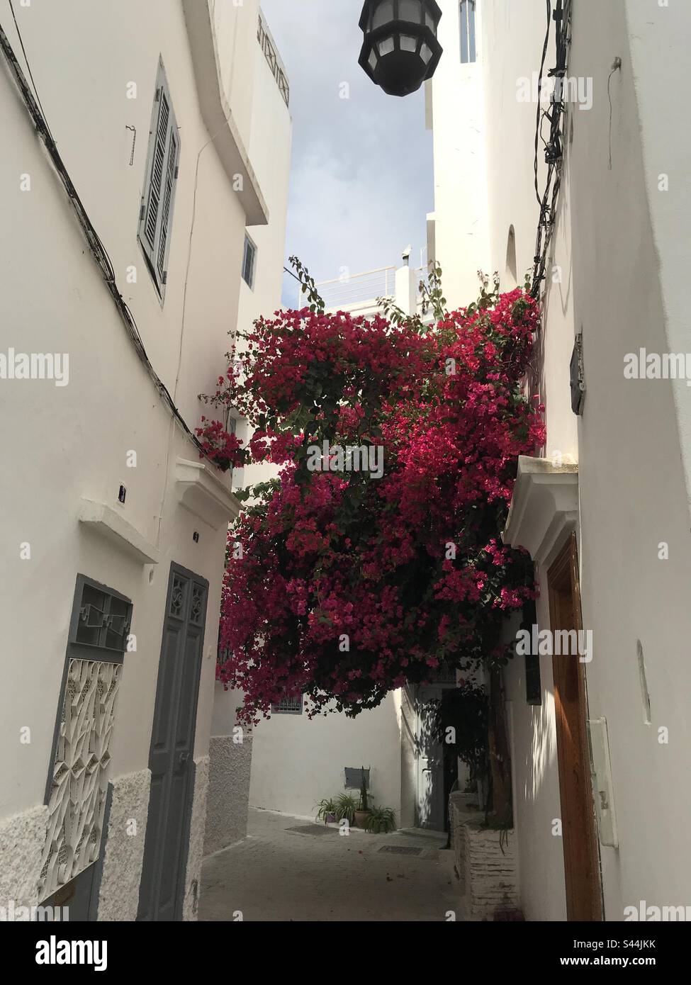 Maroc tanger hi-res stock photography and images - Alamy