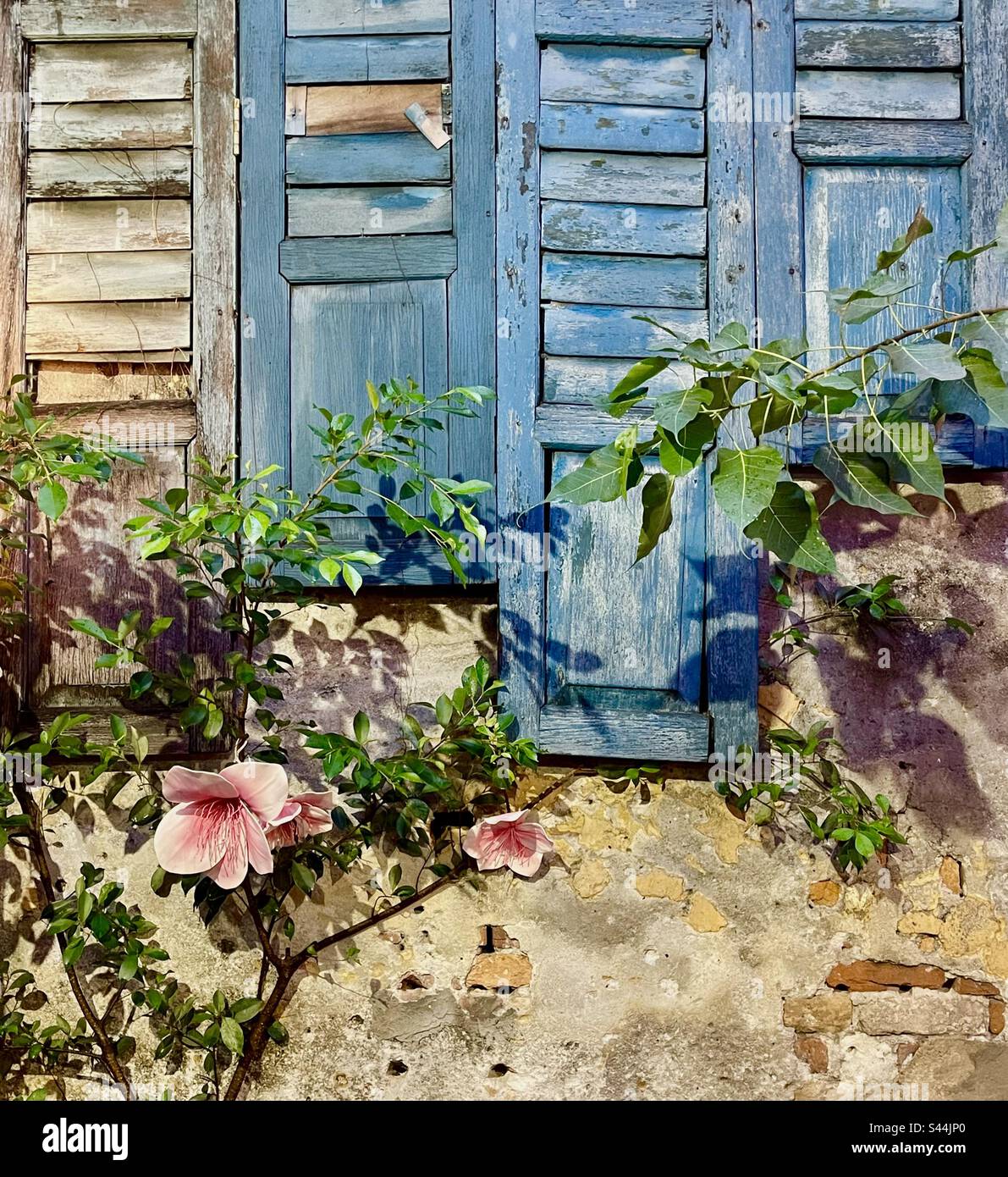 Poetic Spring Garden art installation at Kwai Chai Hong laneway off ...