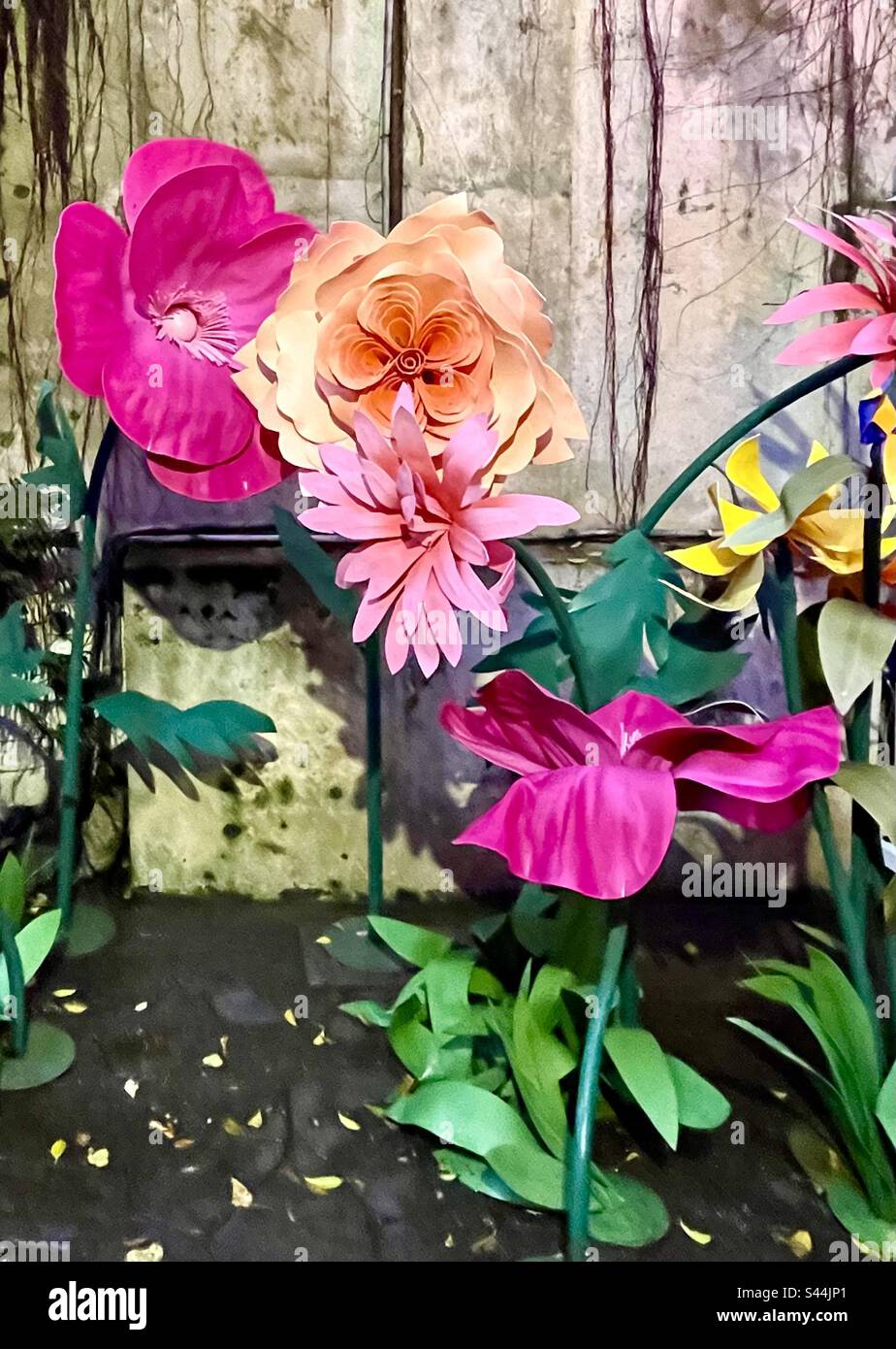 Poetic Spring Garden art installation at Kwai Chai Hong laneway off ...