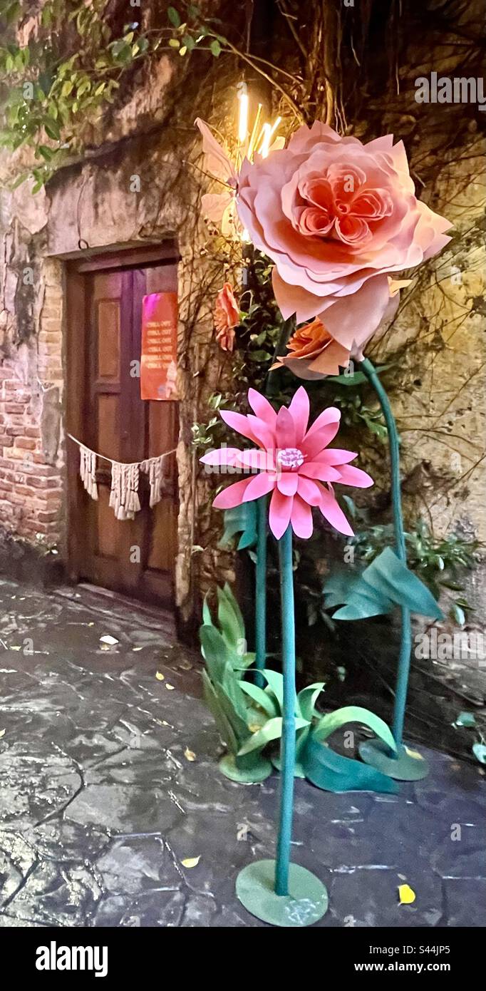 Poetic Spring Garden art installation at Kwai Chai Hong laneway off ...