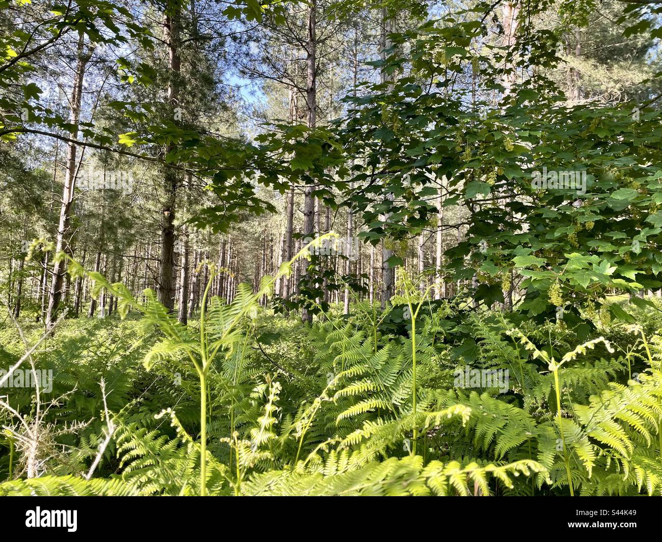 Our beautiful planet hi-res stock photography and images - Alamy