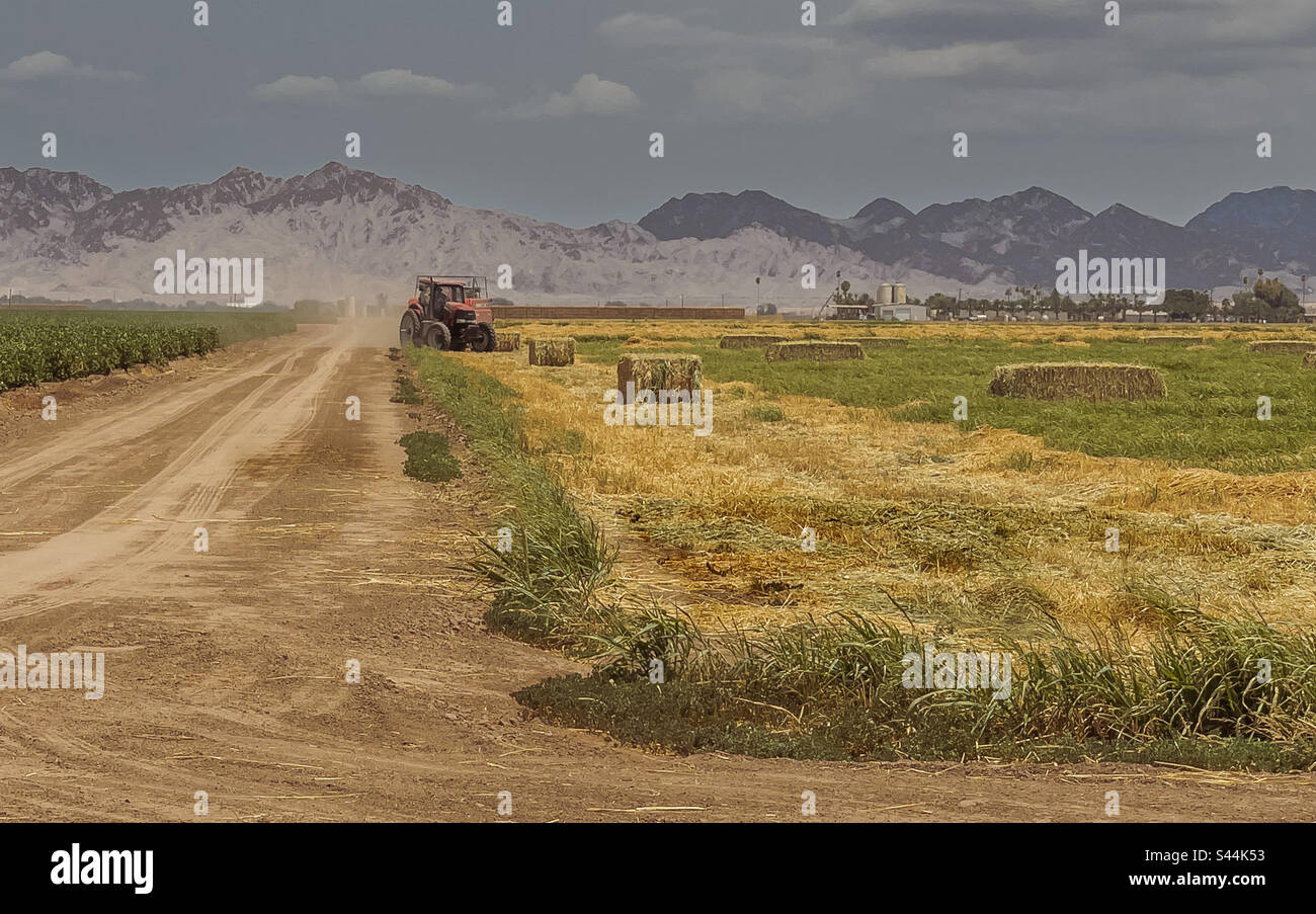 Farmer working the field hi-res stock photography and images - Alamy