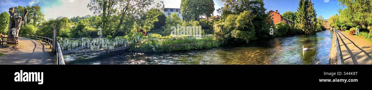 River Itchen in springtime at Winchester Hampshire United Kingdom Stock ...