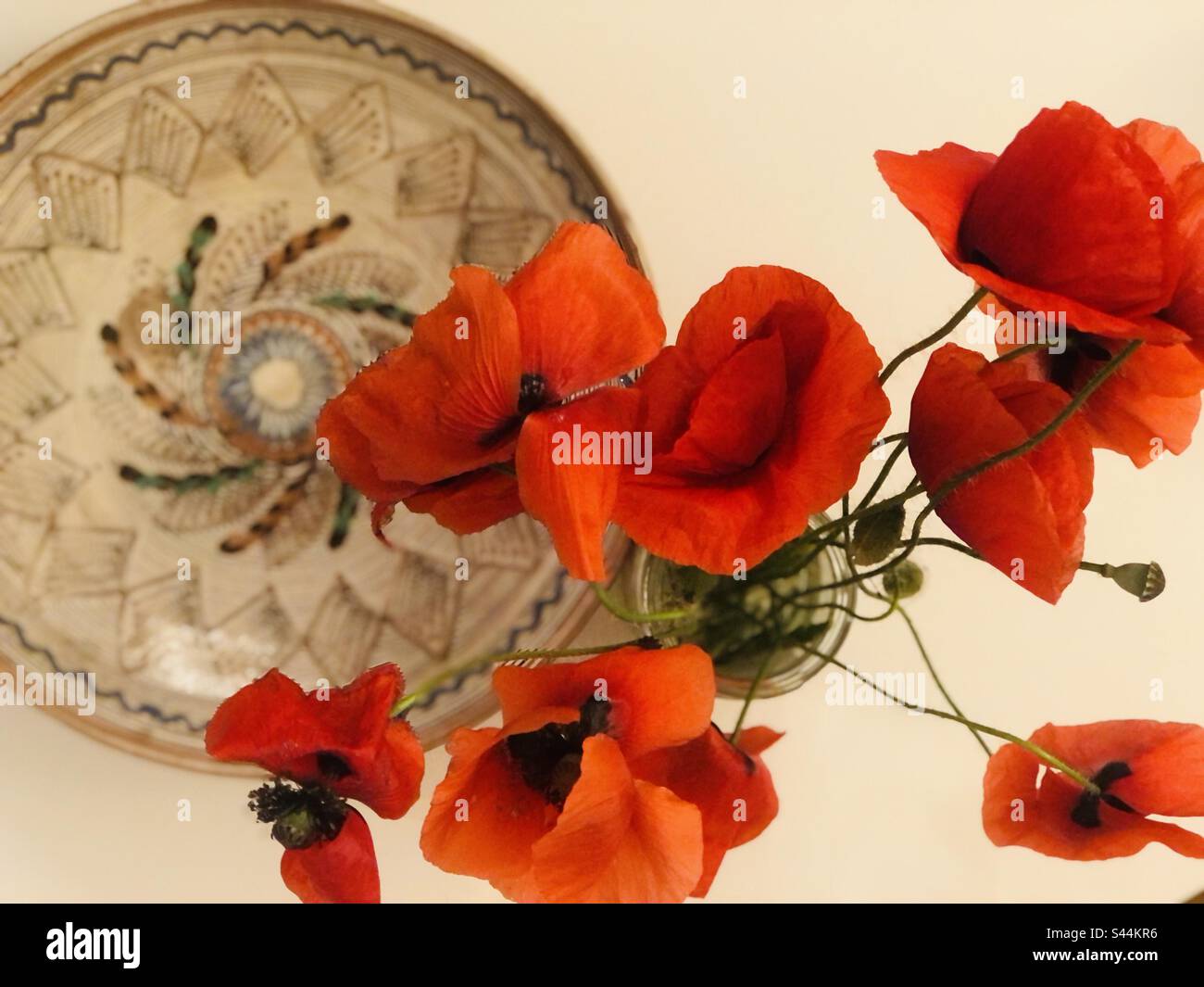 Stunning and iconic poppy flowers having a traditional Romanian ...