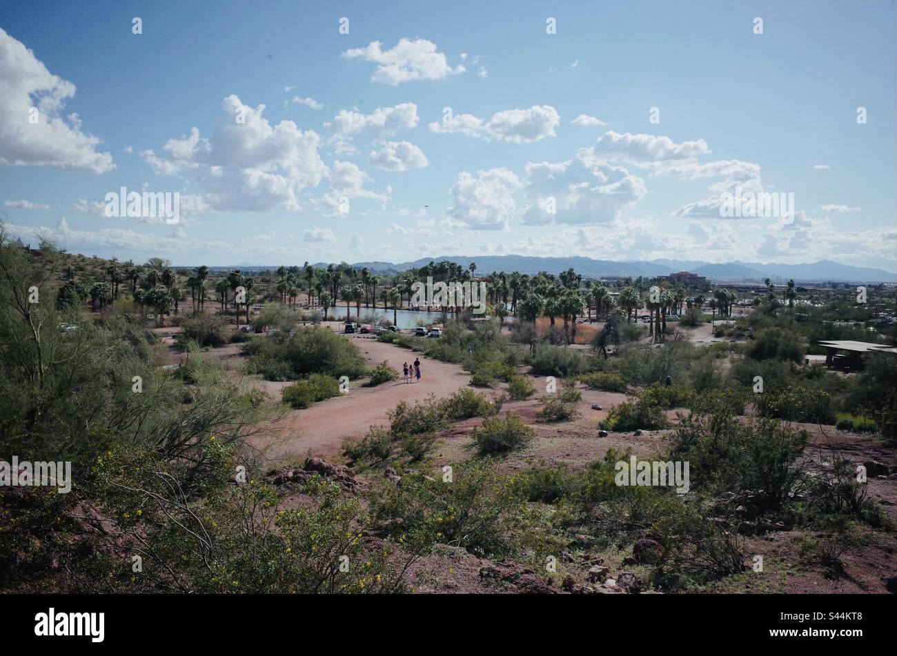 Desert oasis palm hi-res stock photography and images - Alamy