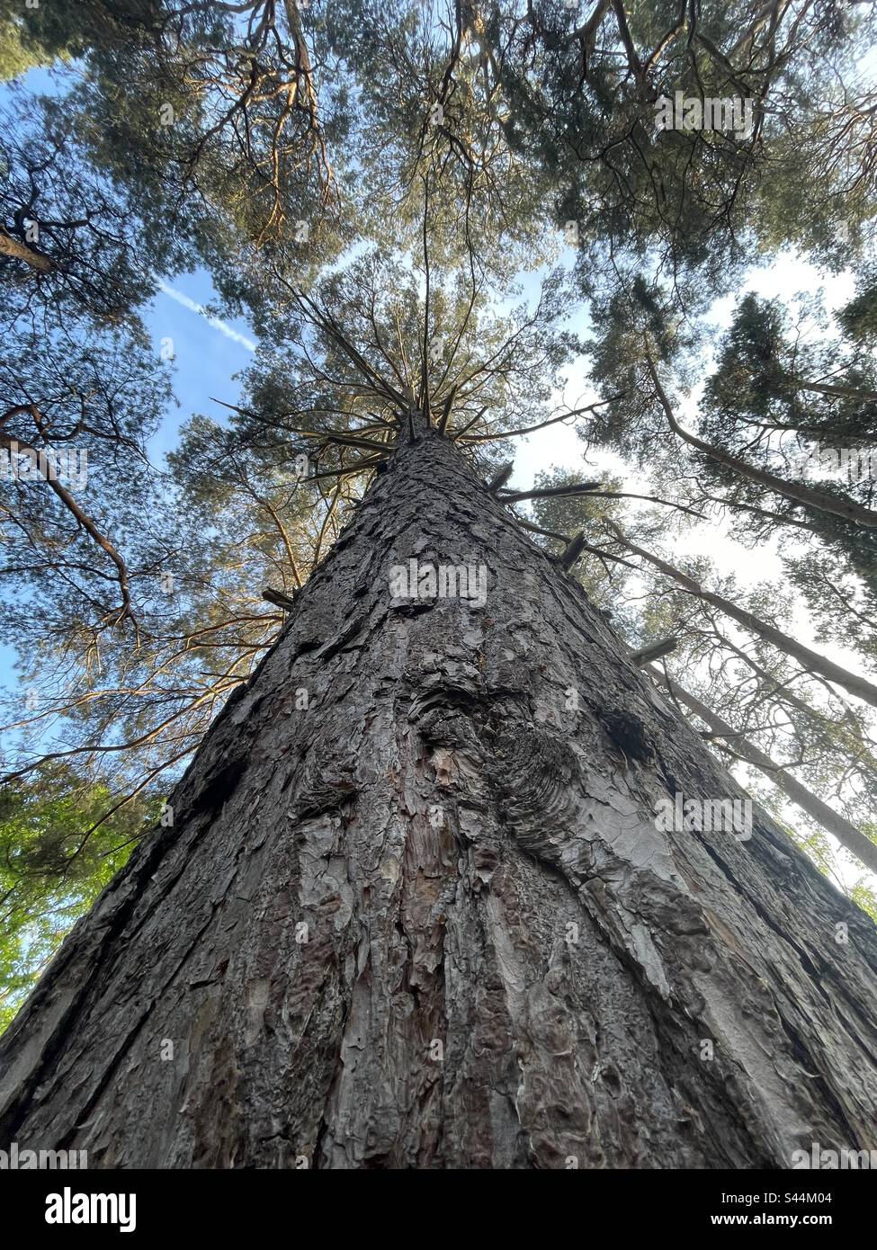 Ant eye view hi-res stock photography and images - Alamy