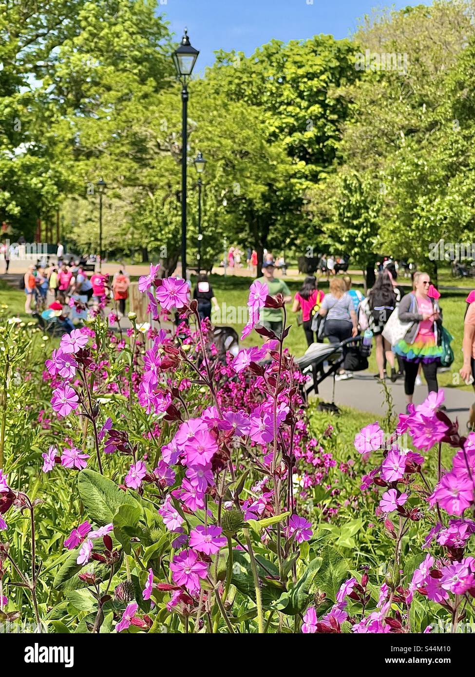 Clapham flowers hi-res stock photography and images - Alamy