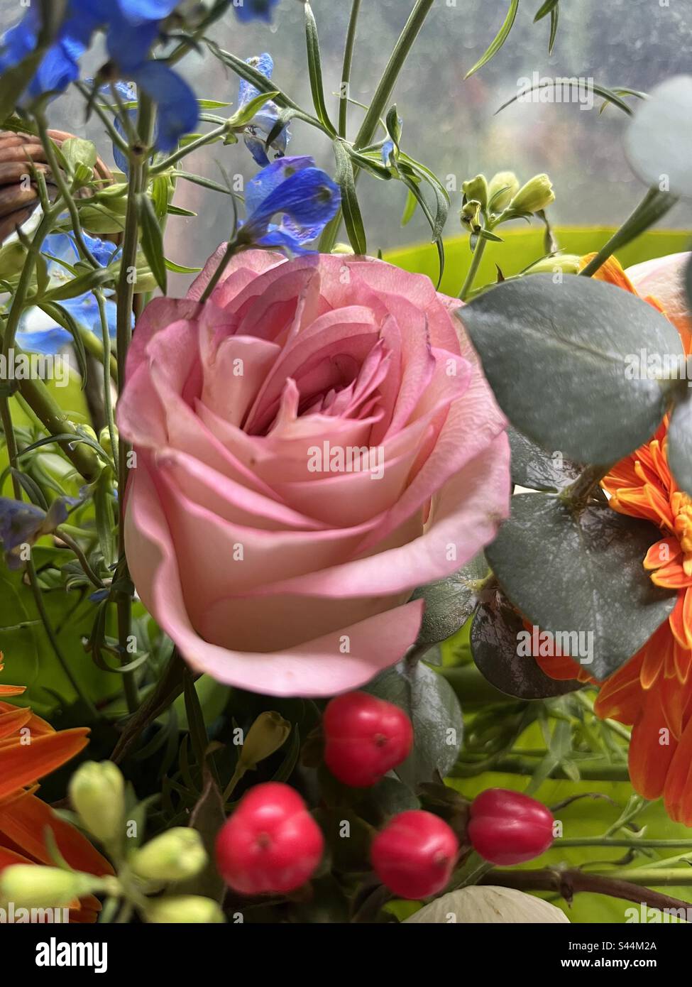 Flowers for a display hi-res stock photography and images - Alamy