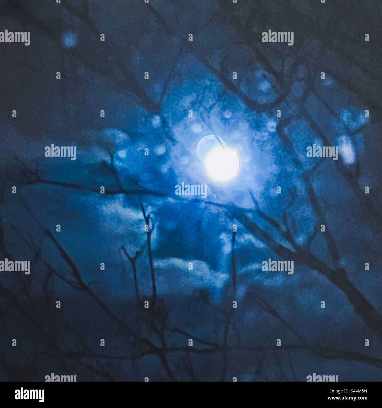 Moon amongst branches hi-res stock photography and images - Alamy