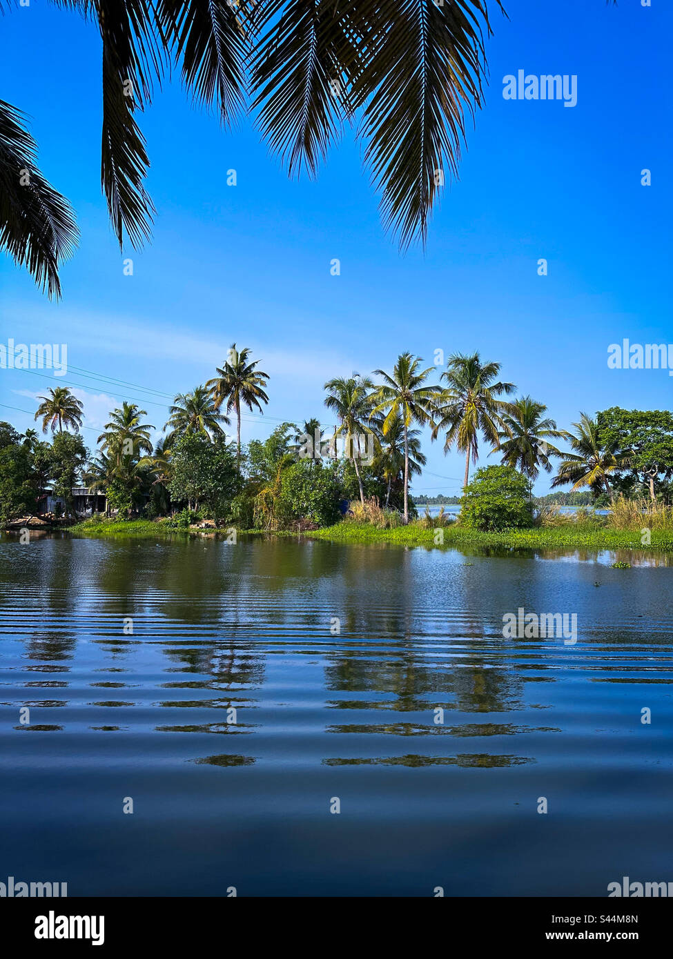 Backwaters water hi-res stock photography and images - Alamy