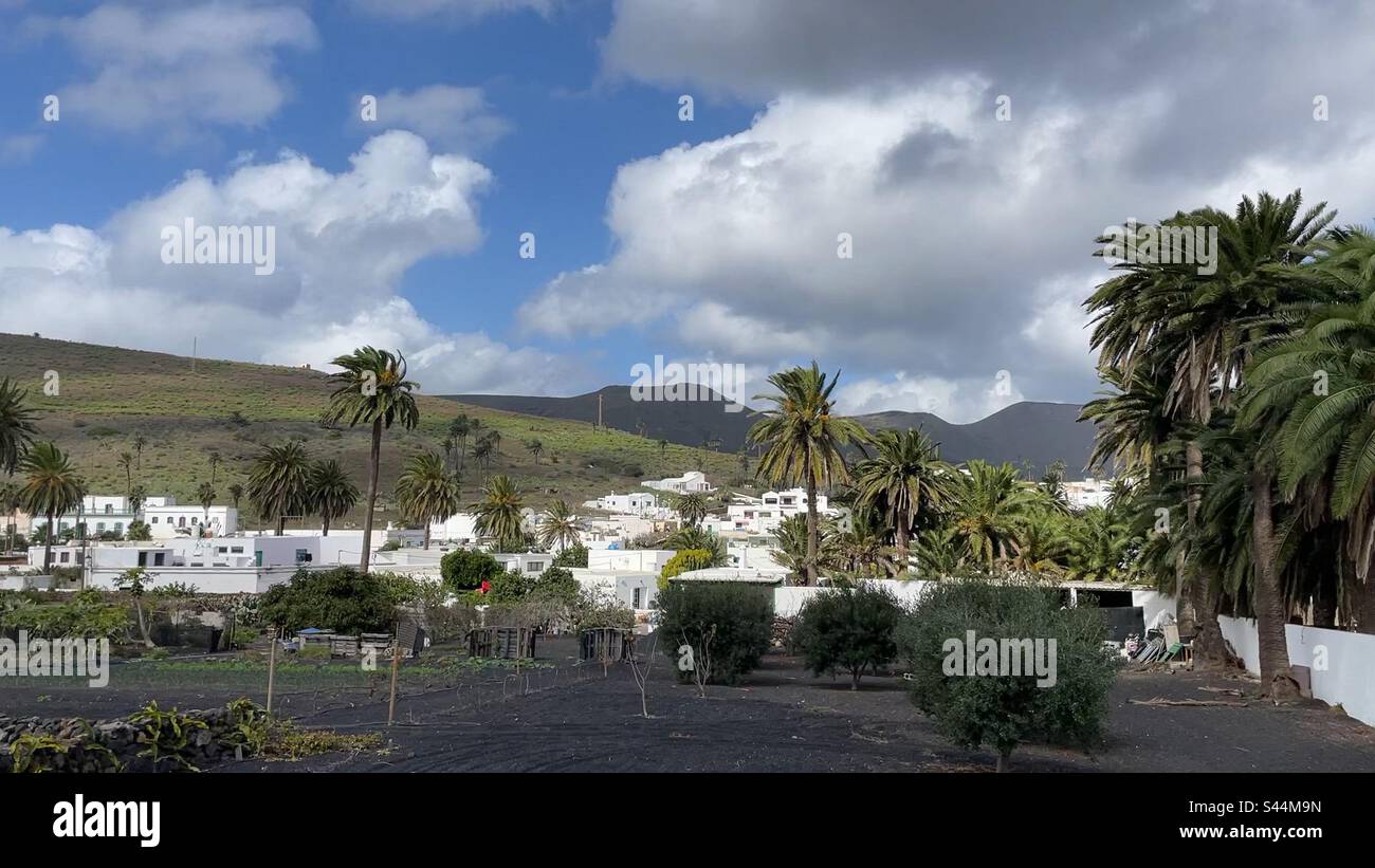 Haria 1000 palms valley lanzarote hi-res stock photography and images ...