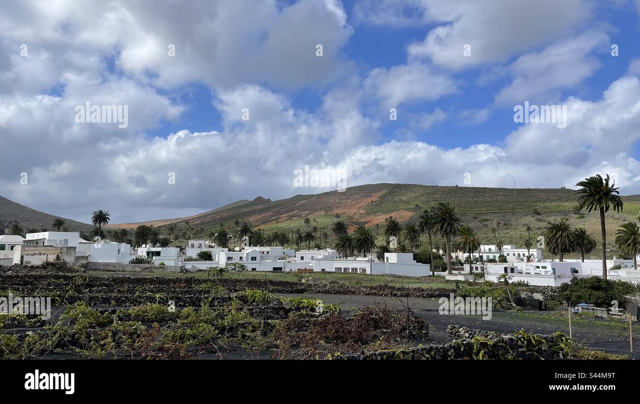 Valley of 1000 Palms, Haria, Lanzarote Stock Photo - Alamy